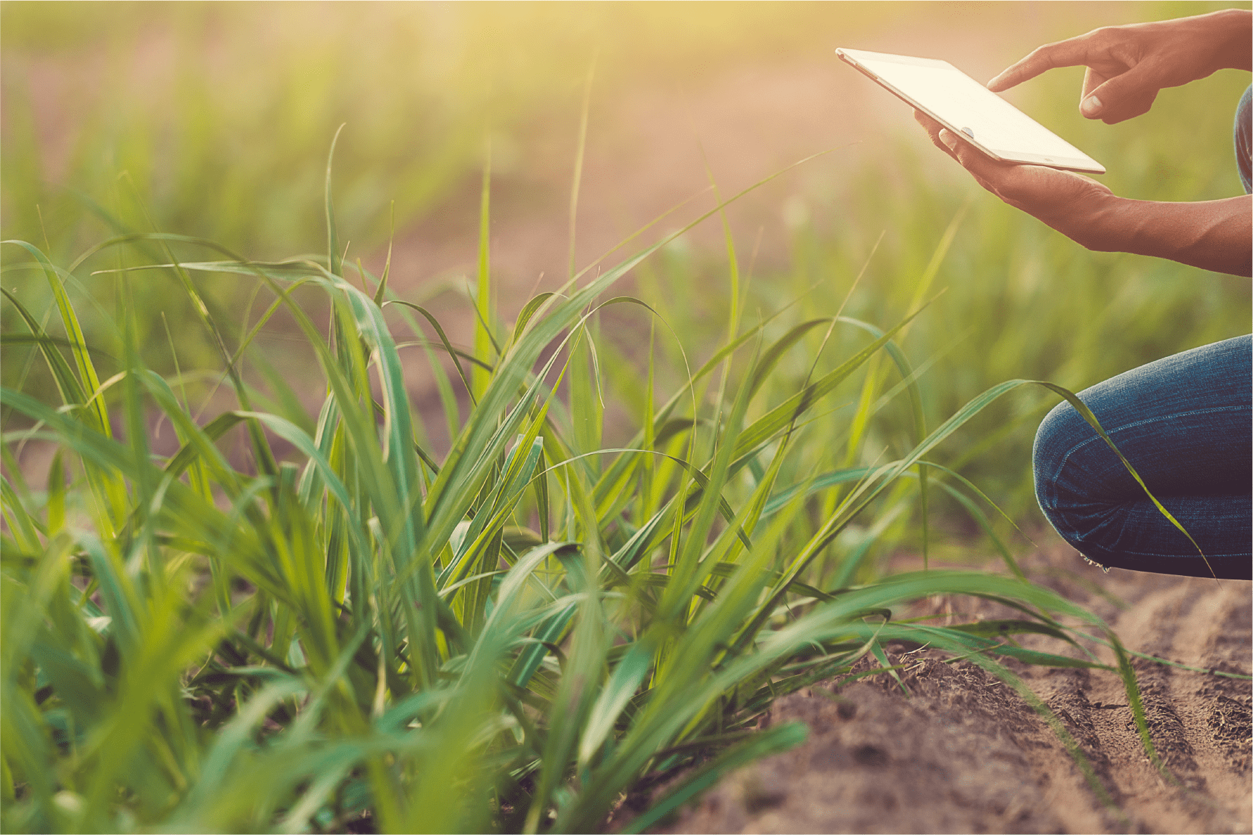 Commodities Sector Set To Gain From Tech Advances, From Blockchain ...