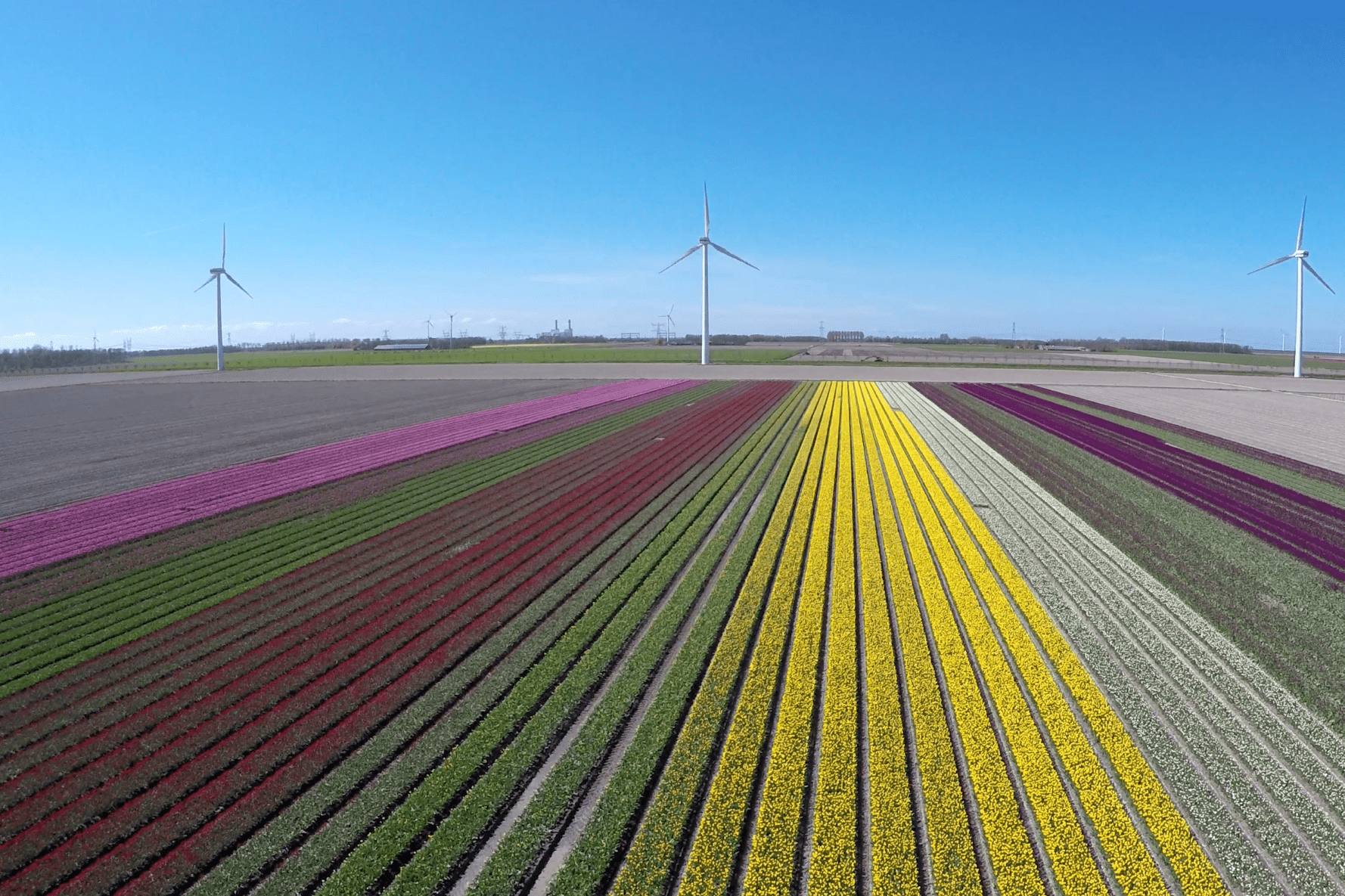 GrainCorp Goes Live On Eka Commodity Management Platform - Quoreka