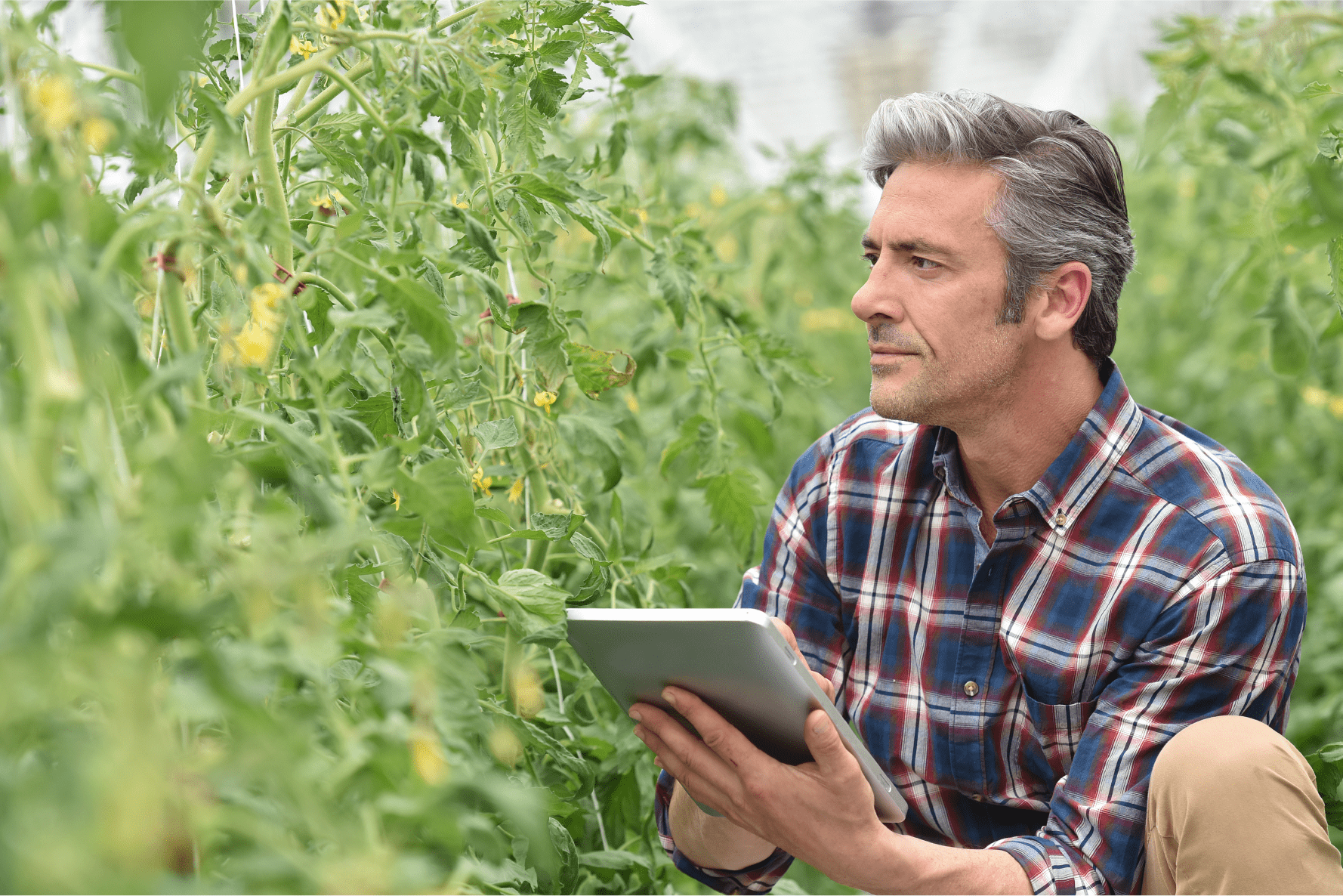 Hexagon Group Chooses Eka’s Award-winning CTRM Platform - Quoreka
