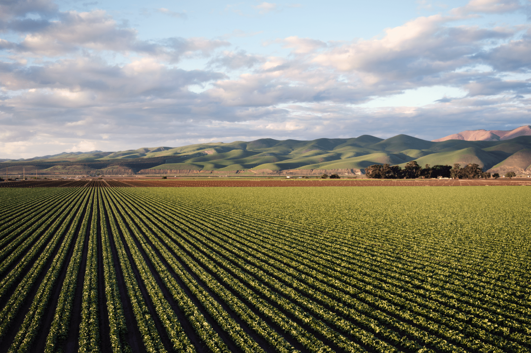 Origin Grain Adopts Eka Commodity Software | QuorEka