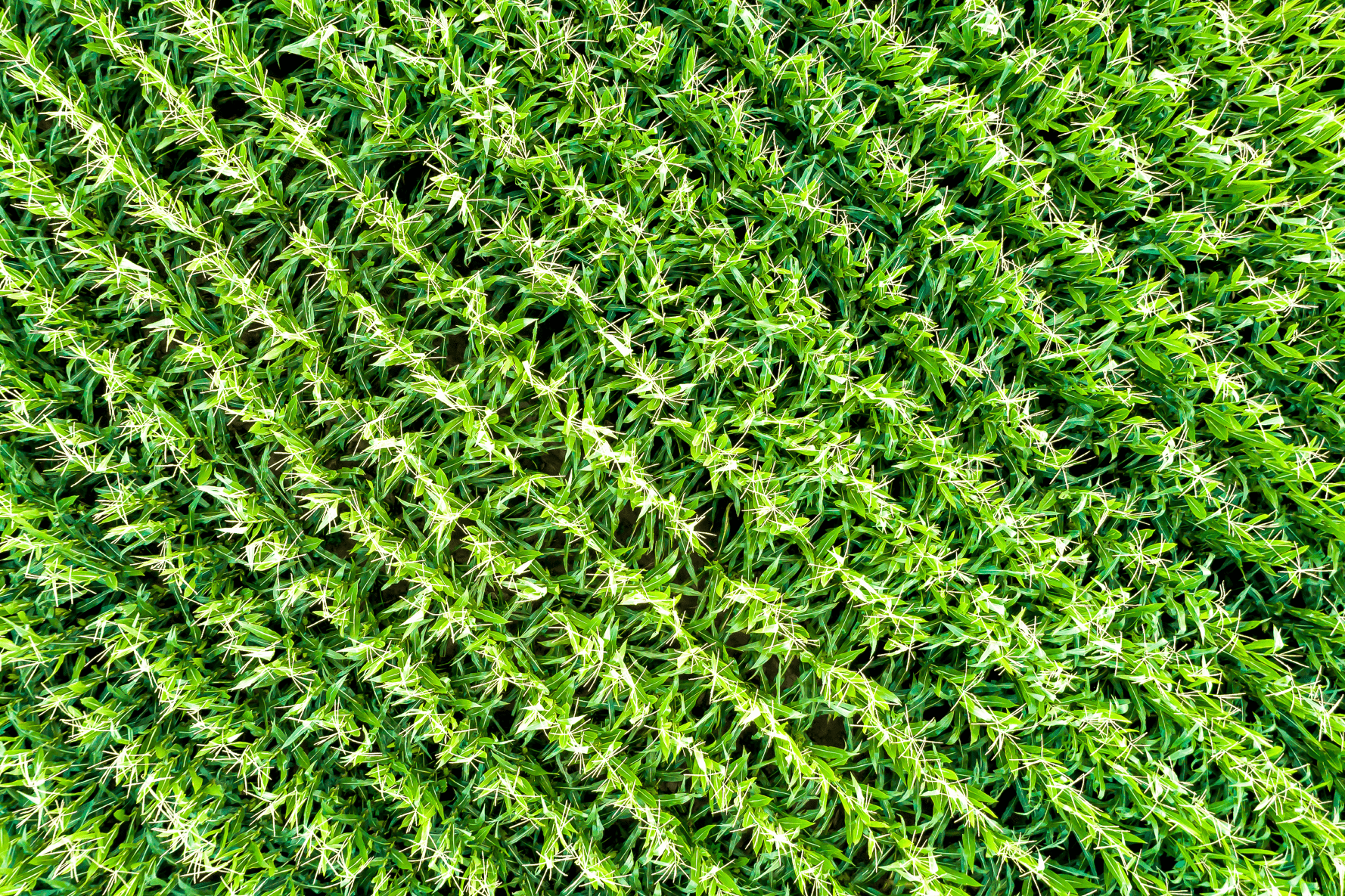 Top Agri-Business Adopts Eka Commodity Platform | QuorEka