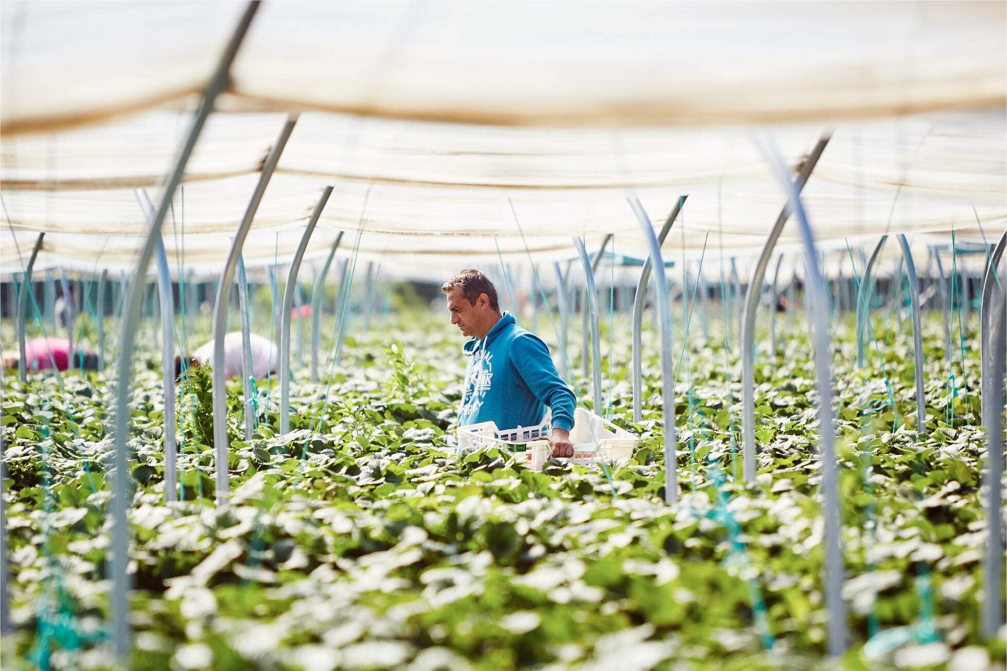 Eka Named Global Leader in Agri CTRM | QuorEka